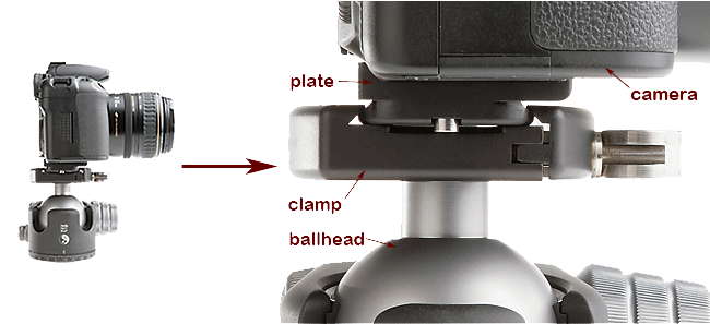 What is the RRS-Dovetail Standard?
